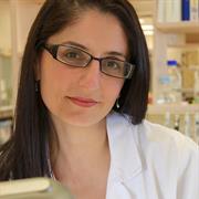 Mary Tolcos | About | RMIT University